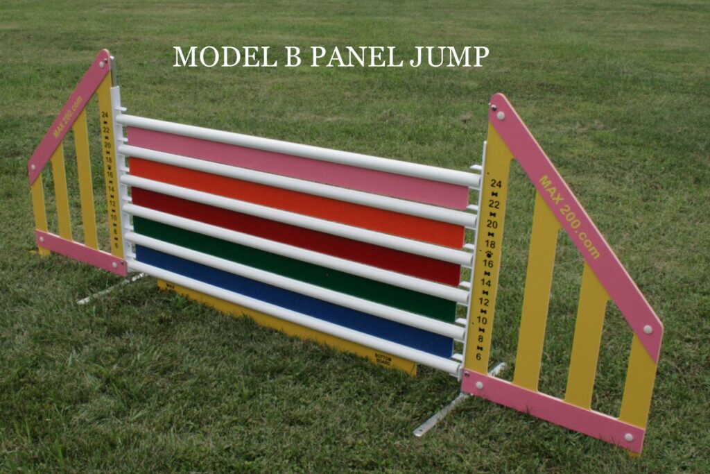 Panel Jump – Max200